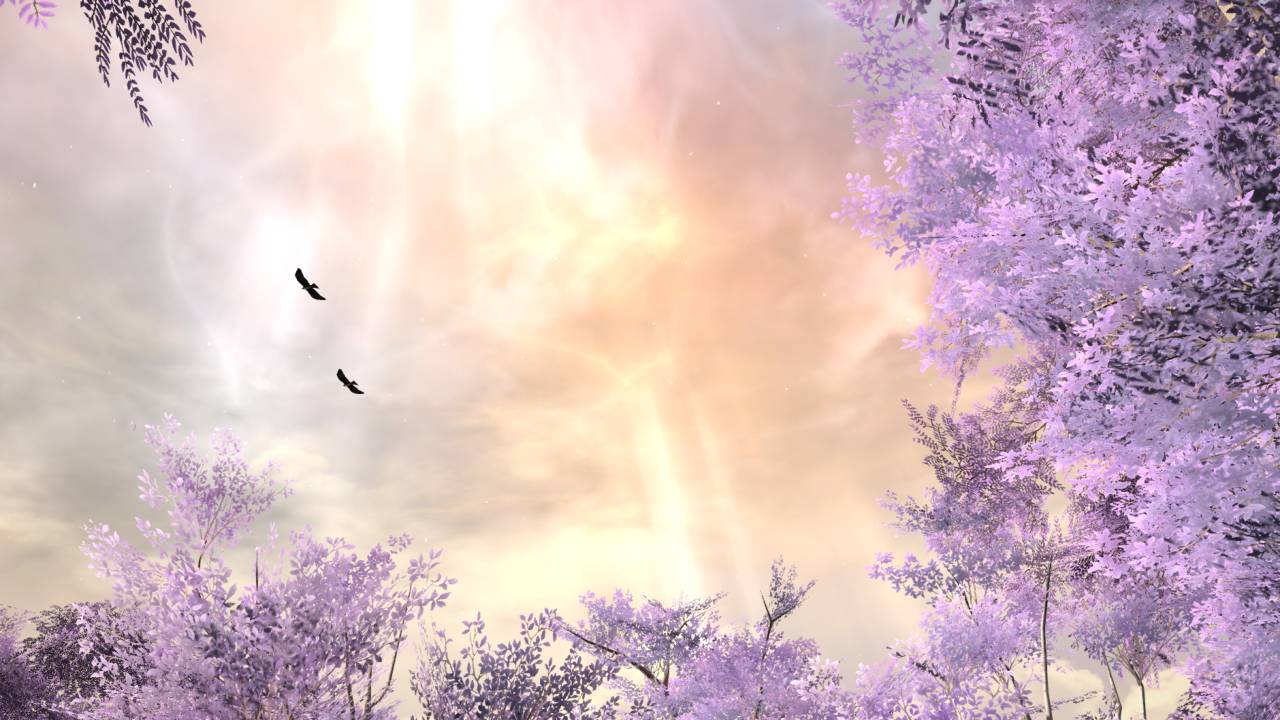 【FF14-漆黒5.0】メインクエスト | 予感 ストーリーのあらすじ